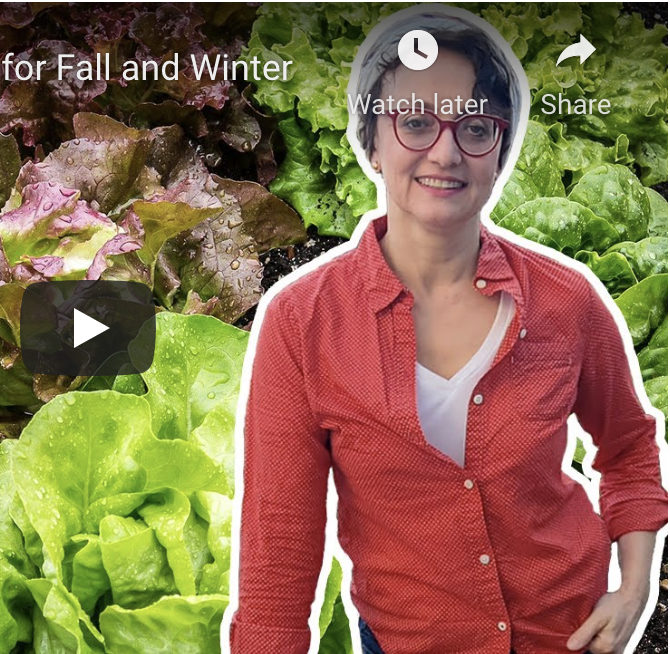 Preparing Your Garden for Fall and Winter - Garden Cult