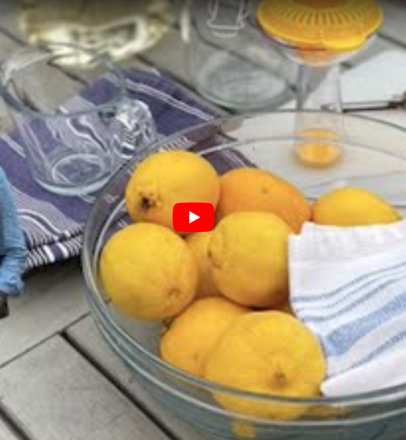 Making Limoncello: A Tart and Tasty Edible Gift - Garden Cult