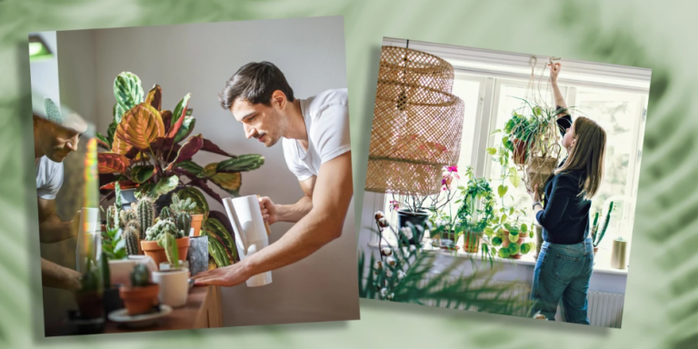 Plant Parenting Tips - Garden Cult